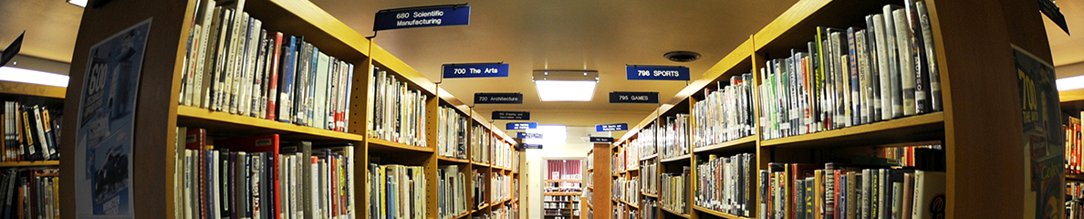How to Thrive as a Library Professional: Achieving Success and Satisfaction
